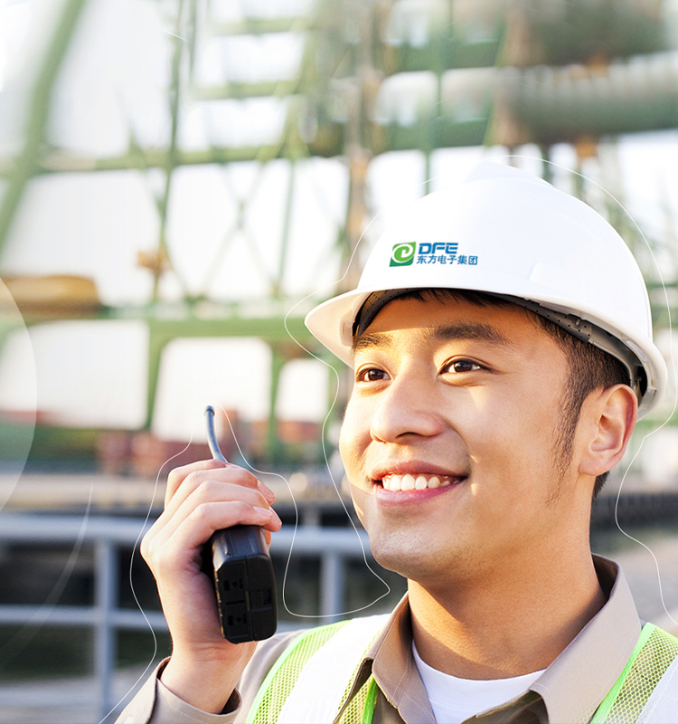 Dongfang Electronics Corporation-Dongfang Electronics Corporation